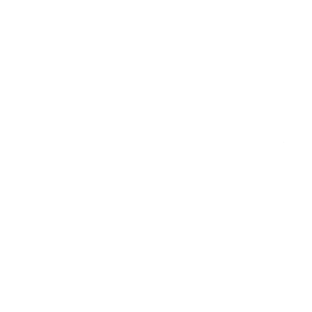 Best WordPress SEO Services For Ranking #1 in Google